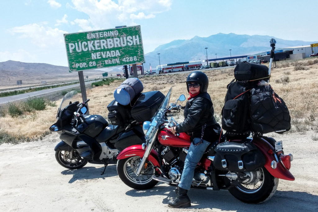 Road Pickle | Adventures of Sash & Steve - Road Pickle